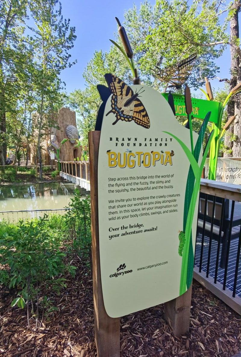 Bugtopia - F&D Scene Changes