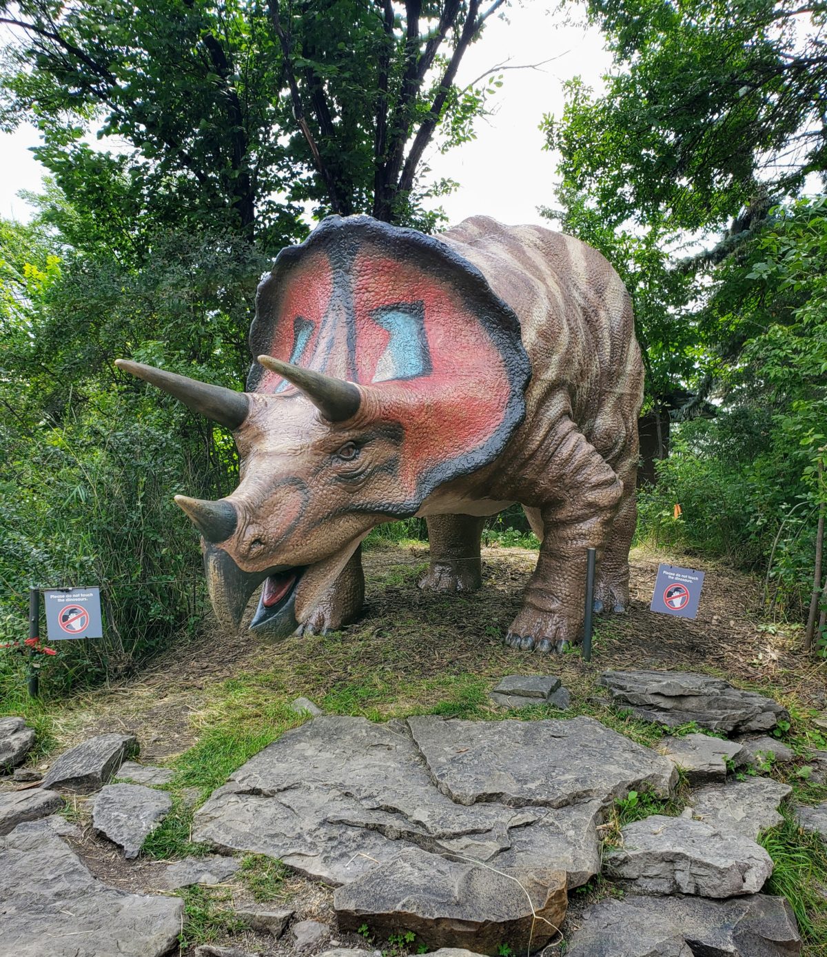 Museums & Zoos Archives - F&D Scene Changes